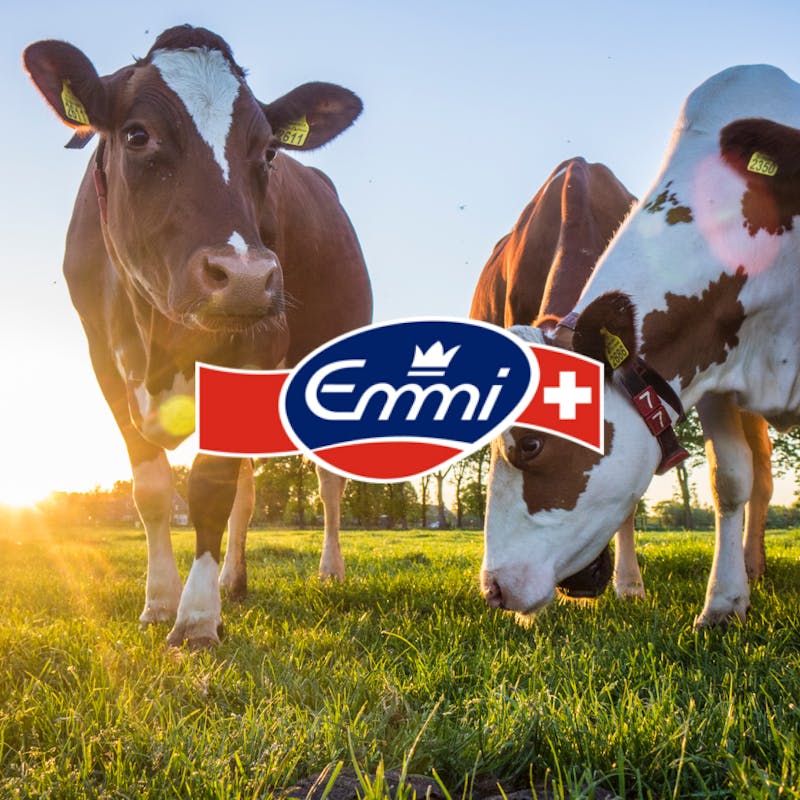 European Poultry and Dairy Producers Soar Amid Protein Boom - Real News Now