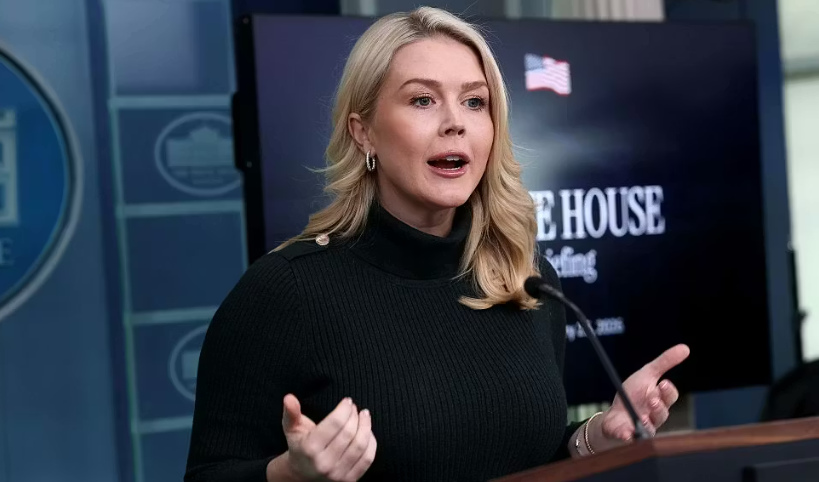 Leavitt Rips Democrats for Inciting ‘Left-Wing Agitators and Crazy ...